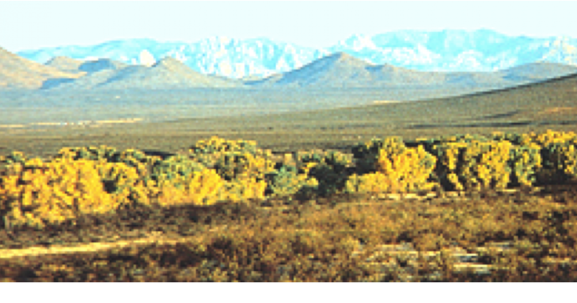 Ecohydrology and Decision-Making in the Sonora and San Pedro Watersheds ...